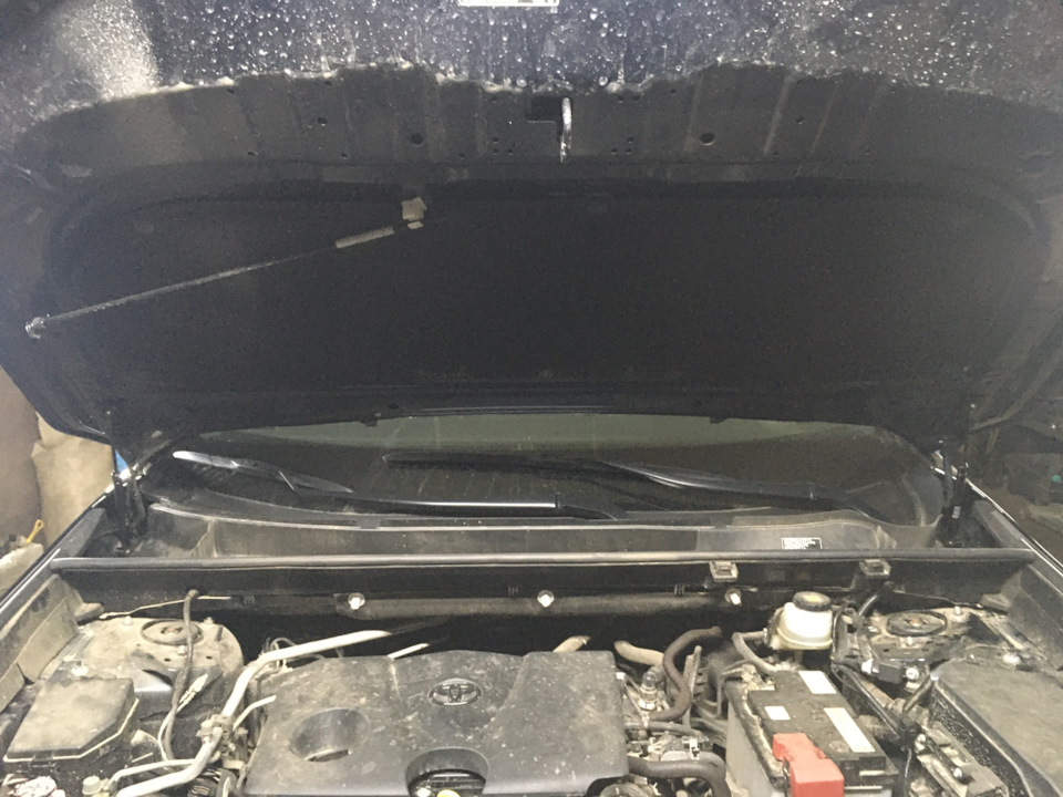 газовые упоры — Toyota RAV4 (5G), 2 л, 2019 года | аксессуары | DRIVE2