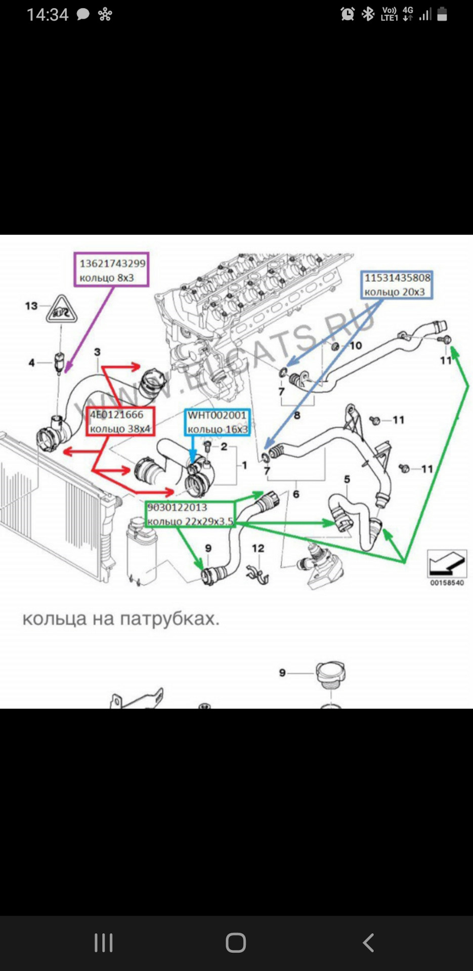 WHT002001 Кольцо уплотнительное (16x3) / VAG | Запчасти на DRIVE2