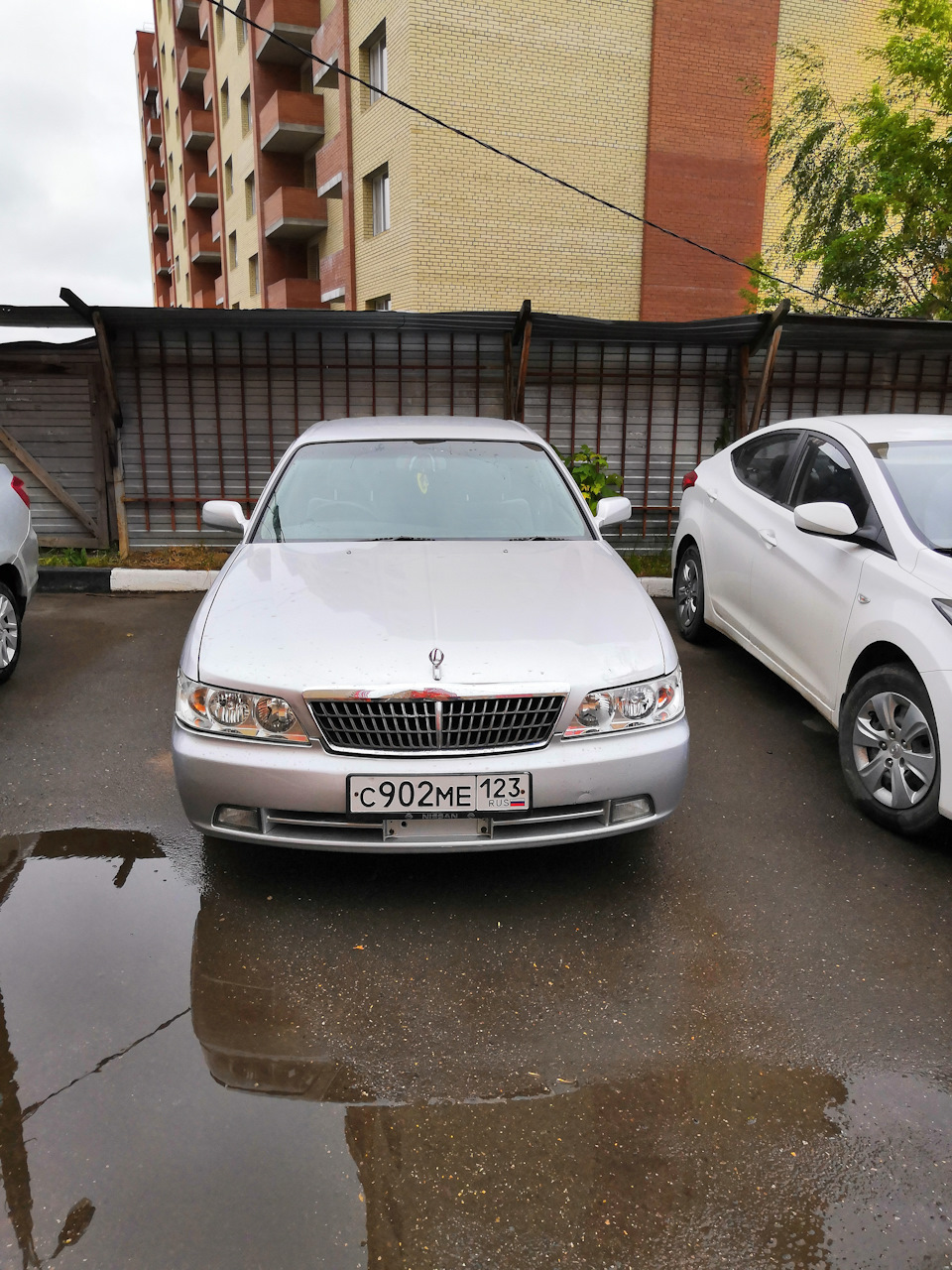 6RU501611B СТУПИЦА ЗАДНЯЯ. VAG | Запчасти на DRIVE2