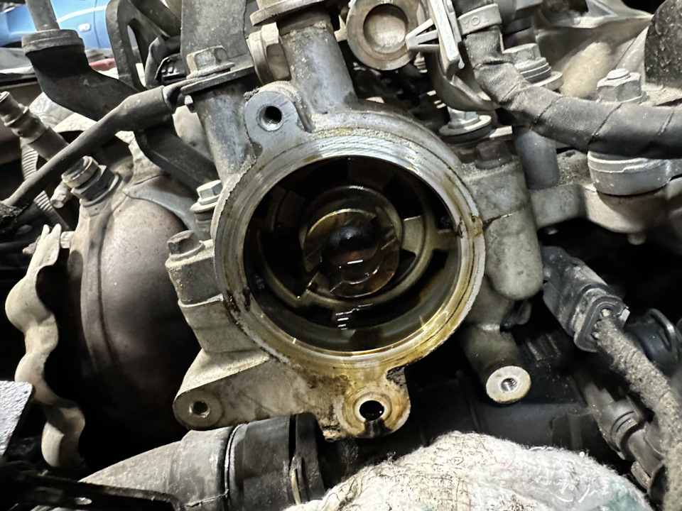 Красненькая мокренькая снизу🤤 — Opel Insignia (1G), 1,6 л, 2014 года ...