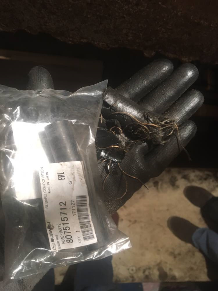 Масло на выхлопе, 2 из 3 — Subaru Impreza WRX (GD/GG), 2 л, 2001 года ...