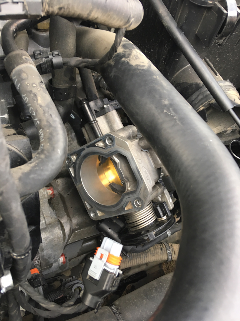 Техническое обслуживание — Hyundai Elantra (4G), 1,6 л, 2007 года ...