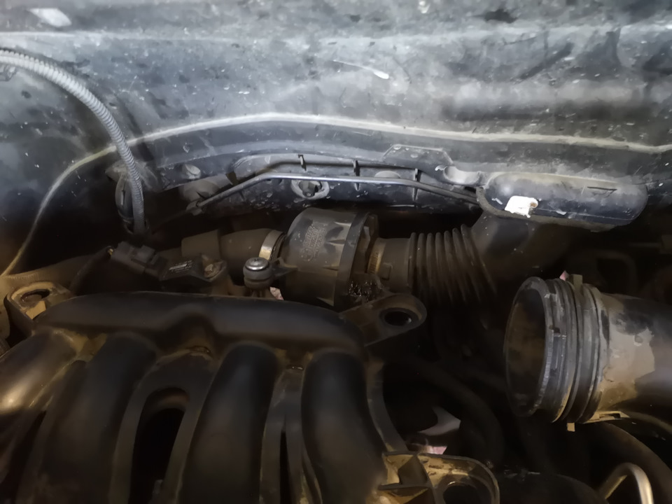 #7. Замена звукового сигнала или месяц в гараже…🙂 — MINI Clubman S (1G ...