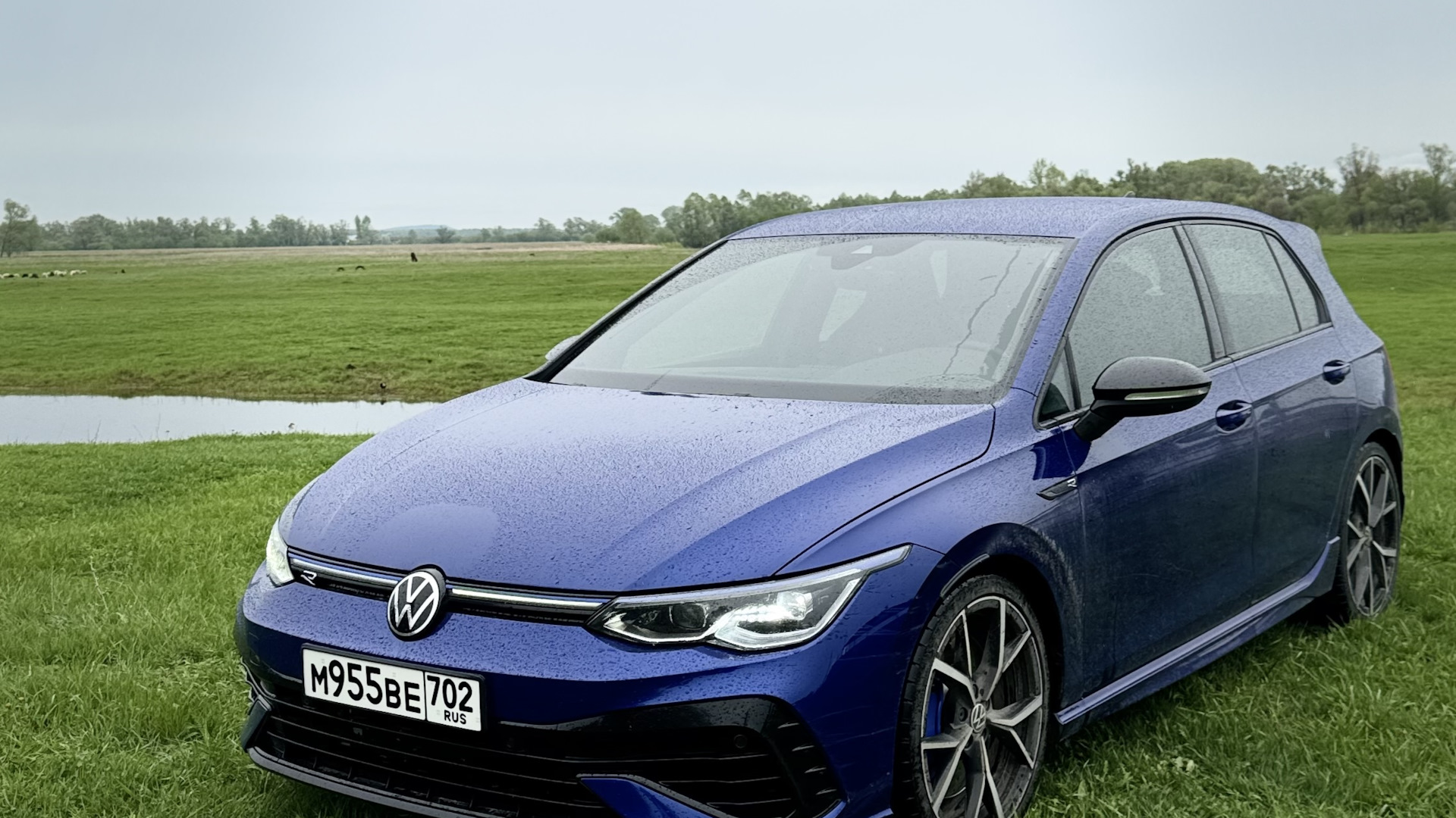 Volkswagen Golf R Mk8 2.0 бензиновый 2022 | Blue Devil на DRIVE2