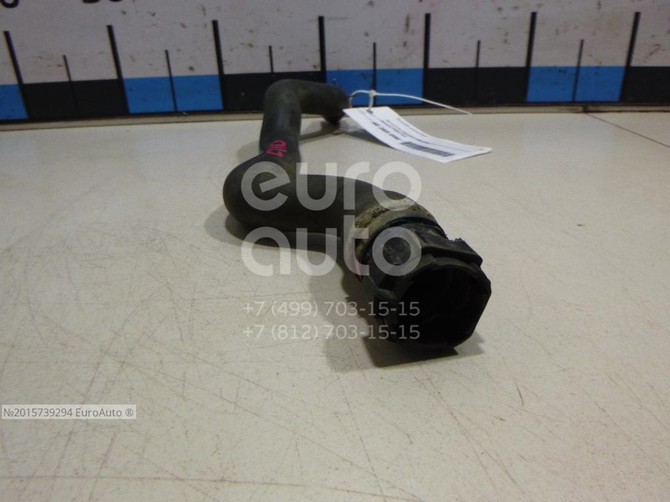 7700847056 Патрубок радиатора RENAULT | Запчасти на DRIVE2