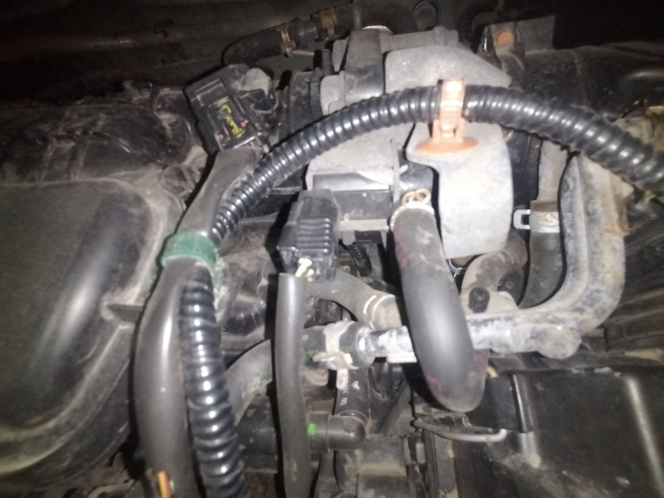кузнечик под капотом — Honda Fit (2G), 1,3 л, 2010 года | электроника ...
