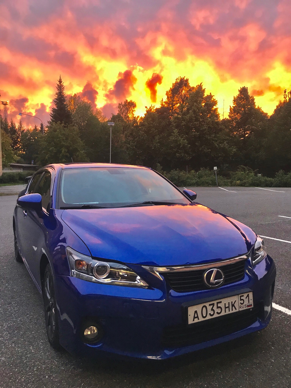 31316875 Опора двигателя Volvo | Запчасти на DRIVE2