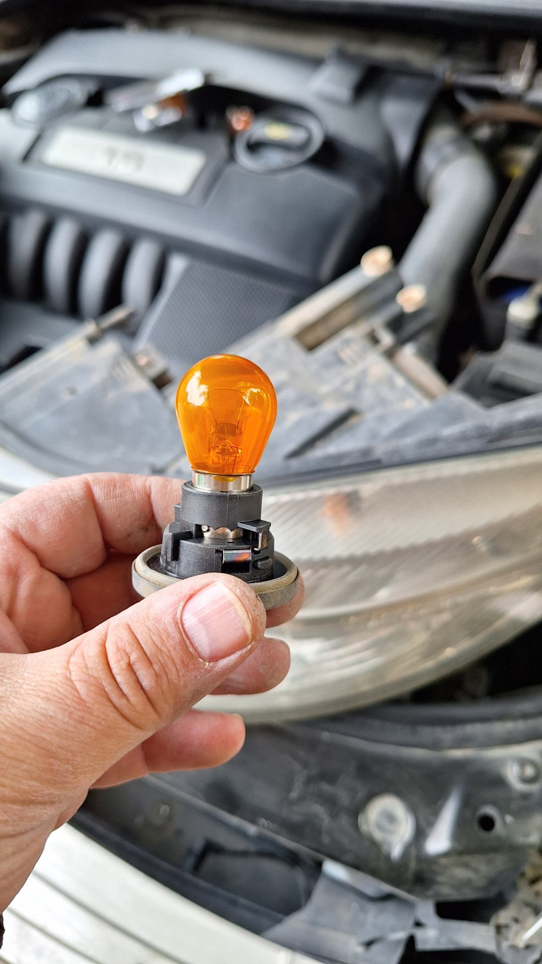 Skoda Octavia a5 FL Автолампа Koito S25 PY21W — Skoda Octavia A5 Mk2, 1,6 л, 2011 года ...