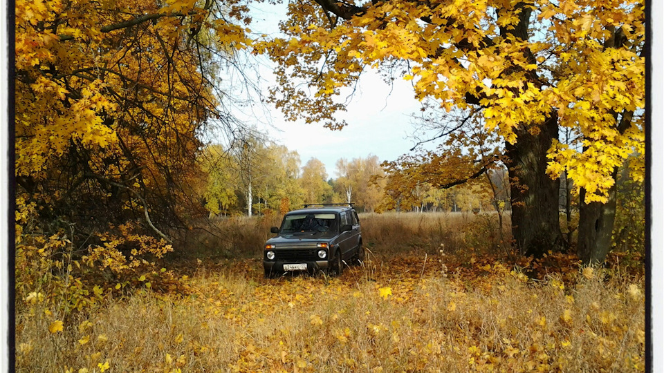 полка в ниву от апс163 — Lada 4x4 5D, 1,7 л, 2017 года | тюнинг | DRIVE2