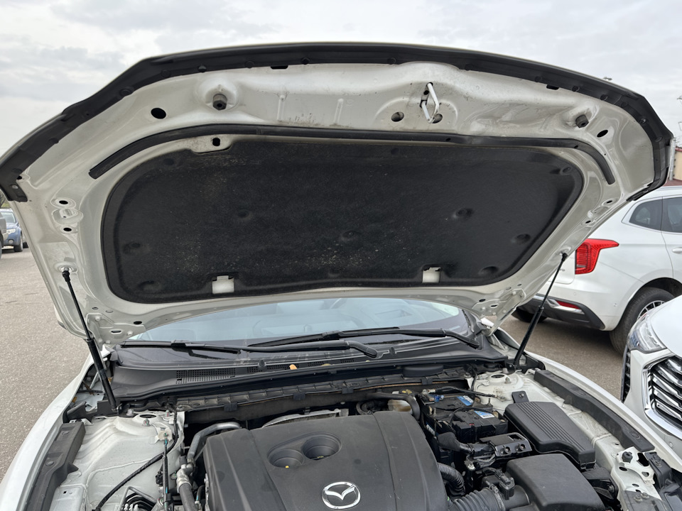 Газовые упоры капота от «АвтоУпор» — Mazda 6 (3G) GJ, 2 л, 2019 года ...
