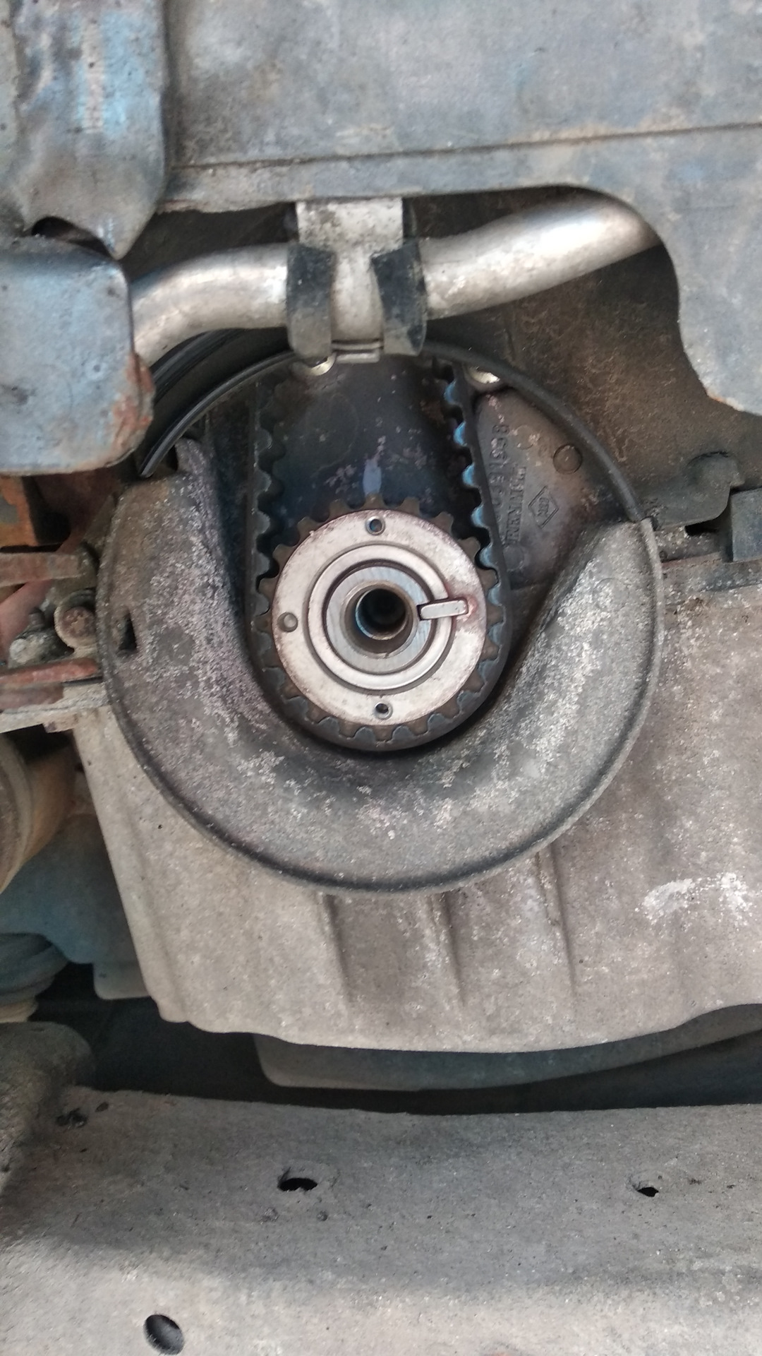 Шкив коленвала. — Renault Scenic II, 1,5 л, 2008 года | поломка | DRIVE2