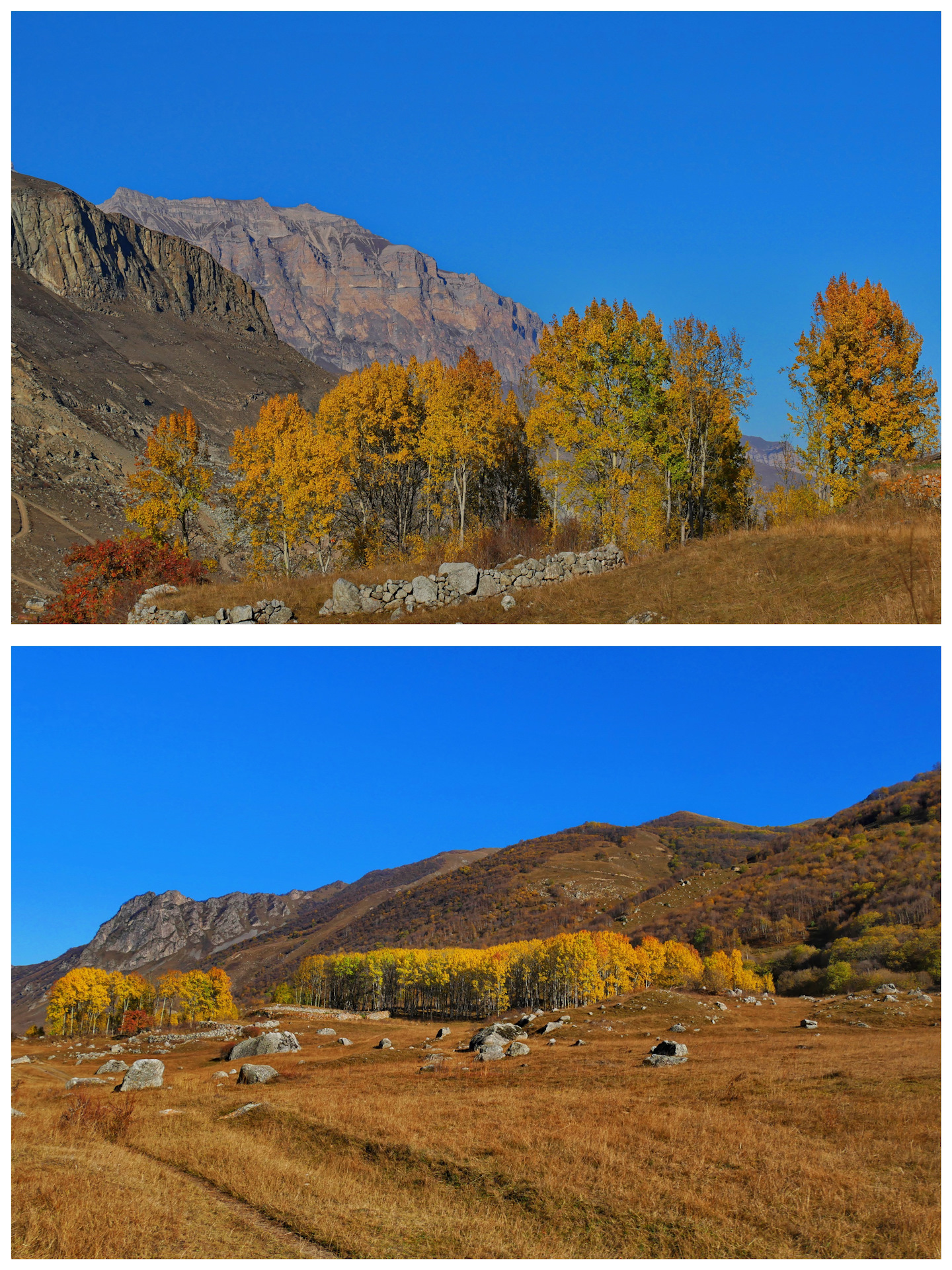 100 MAZDA — Mazda CX-5 (2G), 2 л, 2017 года | наблюдение | DRIVE2