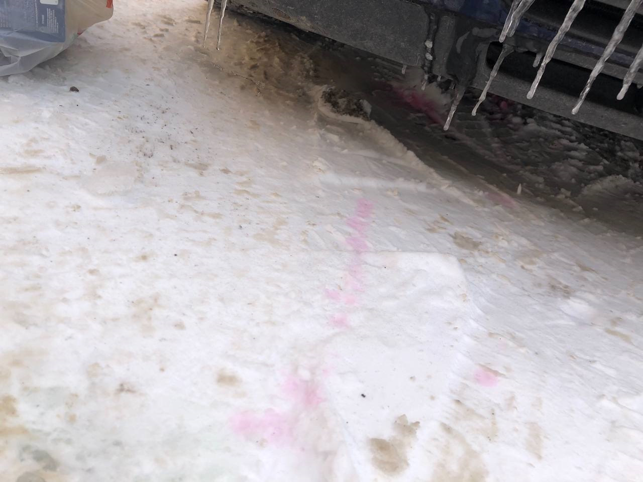 Заглушка системы охлаждения BFQ (урода) — Volkswagen Bora (1G), 1,6 л ...