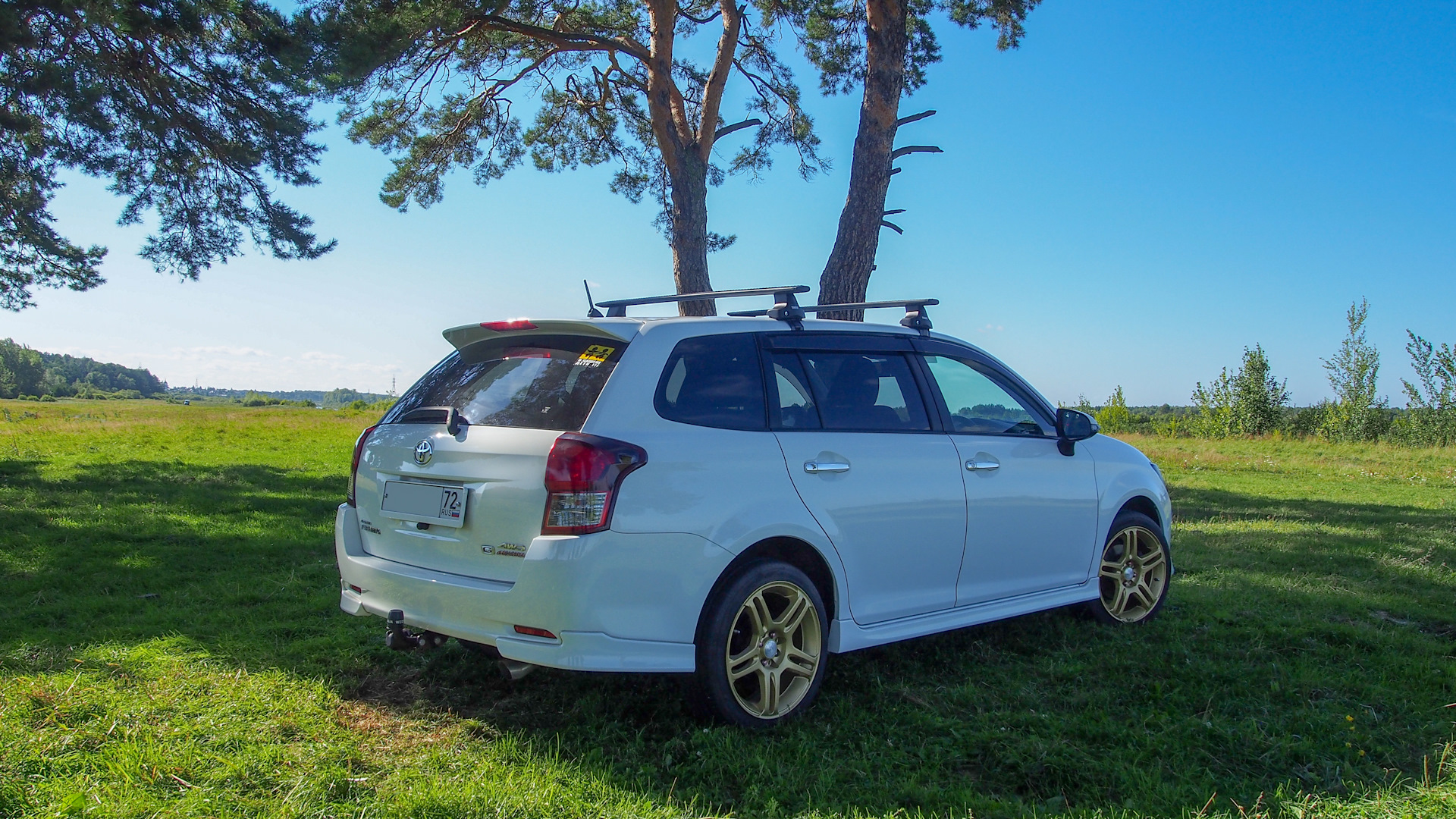 Тюмень. Каменка. Поле одиноких сосен. — Toyota Corolla Fielder (E160), 1,5 л, 2012 года ...