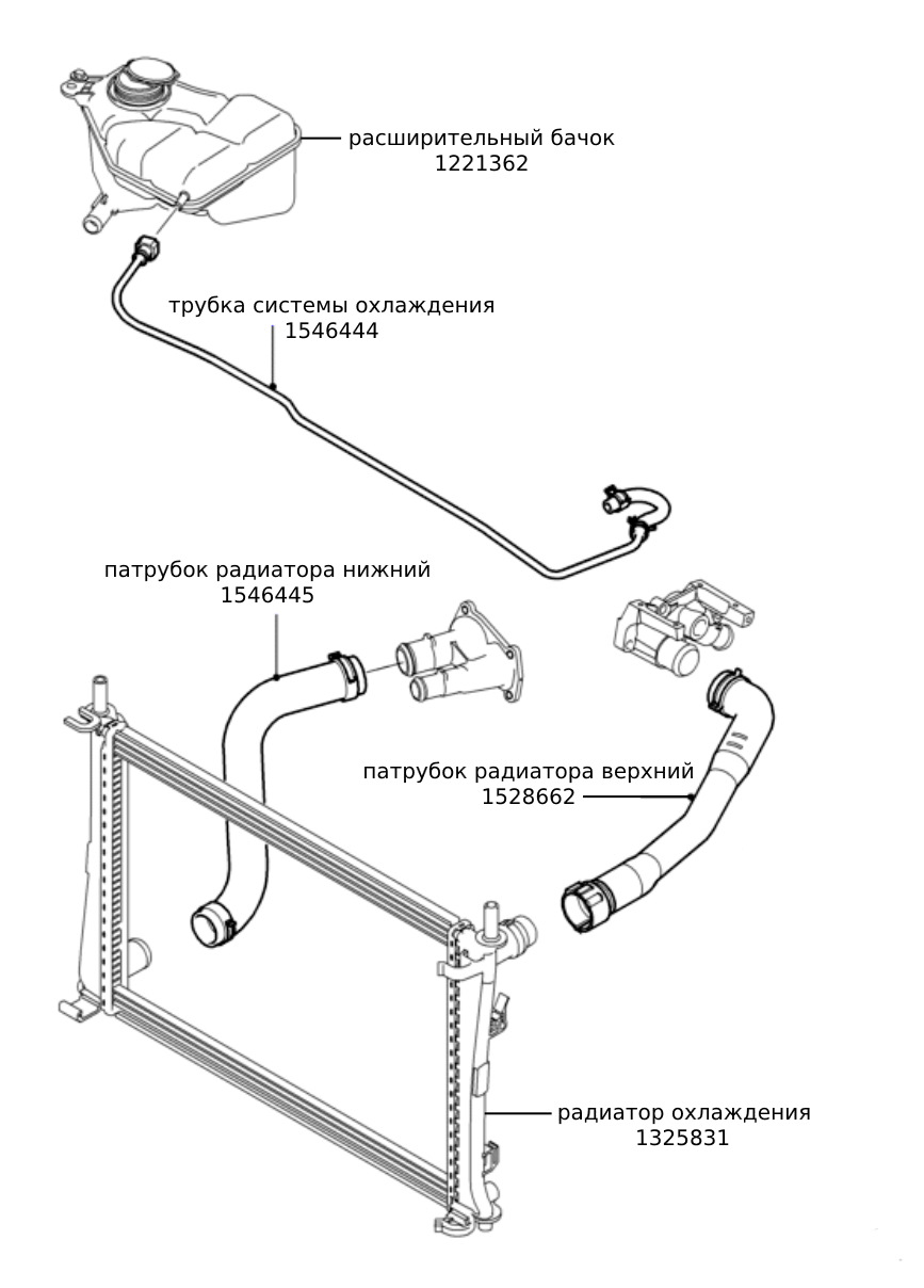 1546444 Шланг расширительного бачка / Fiesta, Fusion 1.6 Zetec-S Ford ...