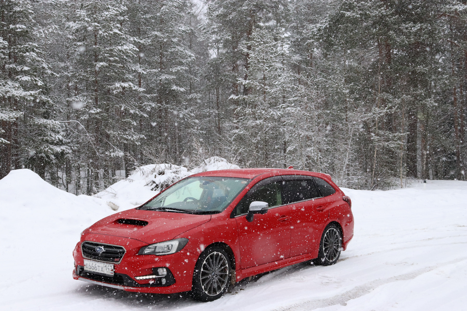Ура! Первые выборы Красного! — Subaru Levorg (VM), 1,6 л, 2017 года | рейтинг и продвижение | DRIVE2