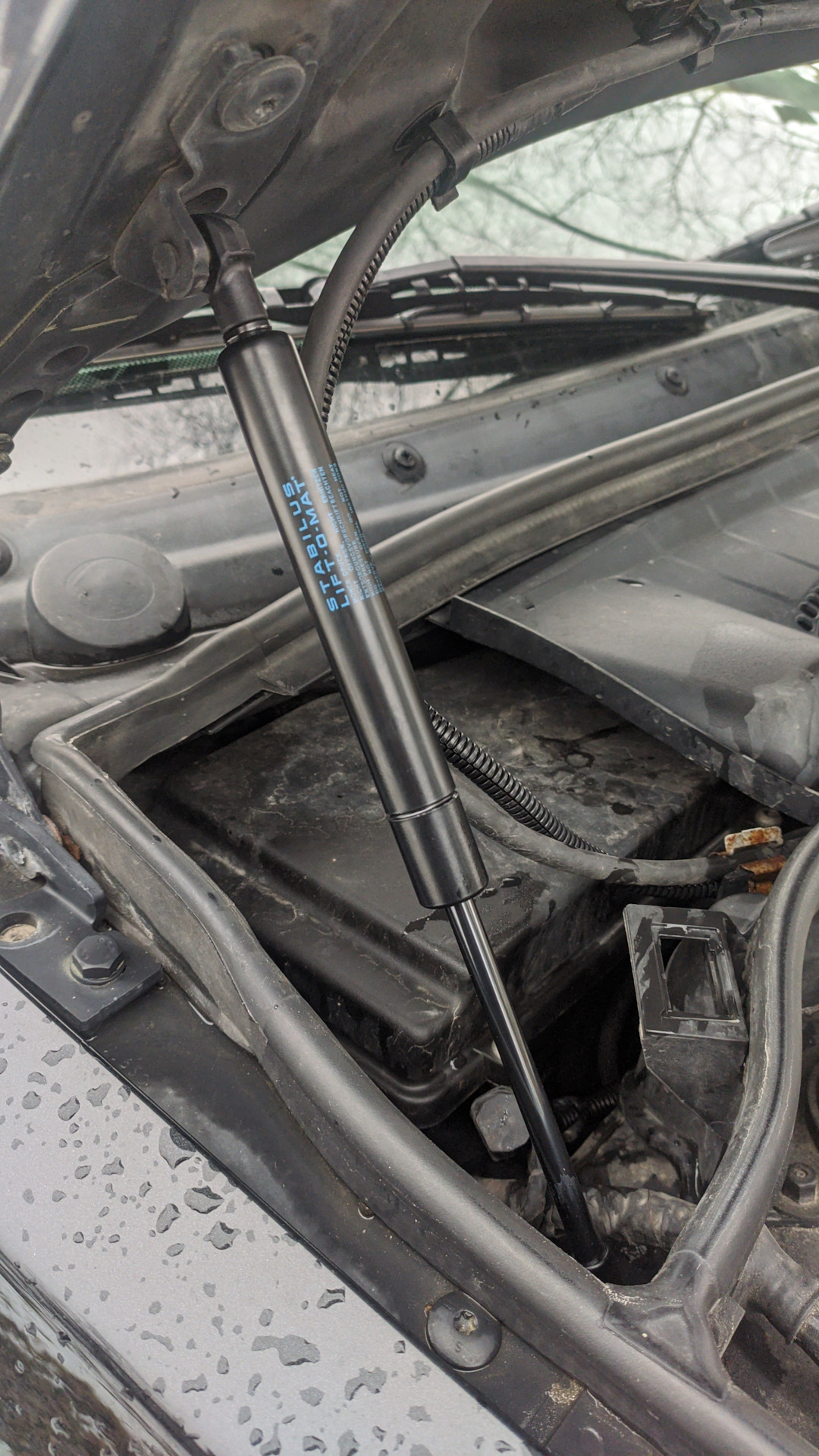 Новые амортизаторы капота и багажника — BMW X5 (E53), 3 л, 2004 года ...