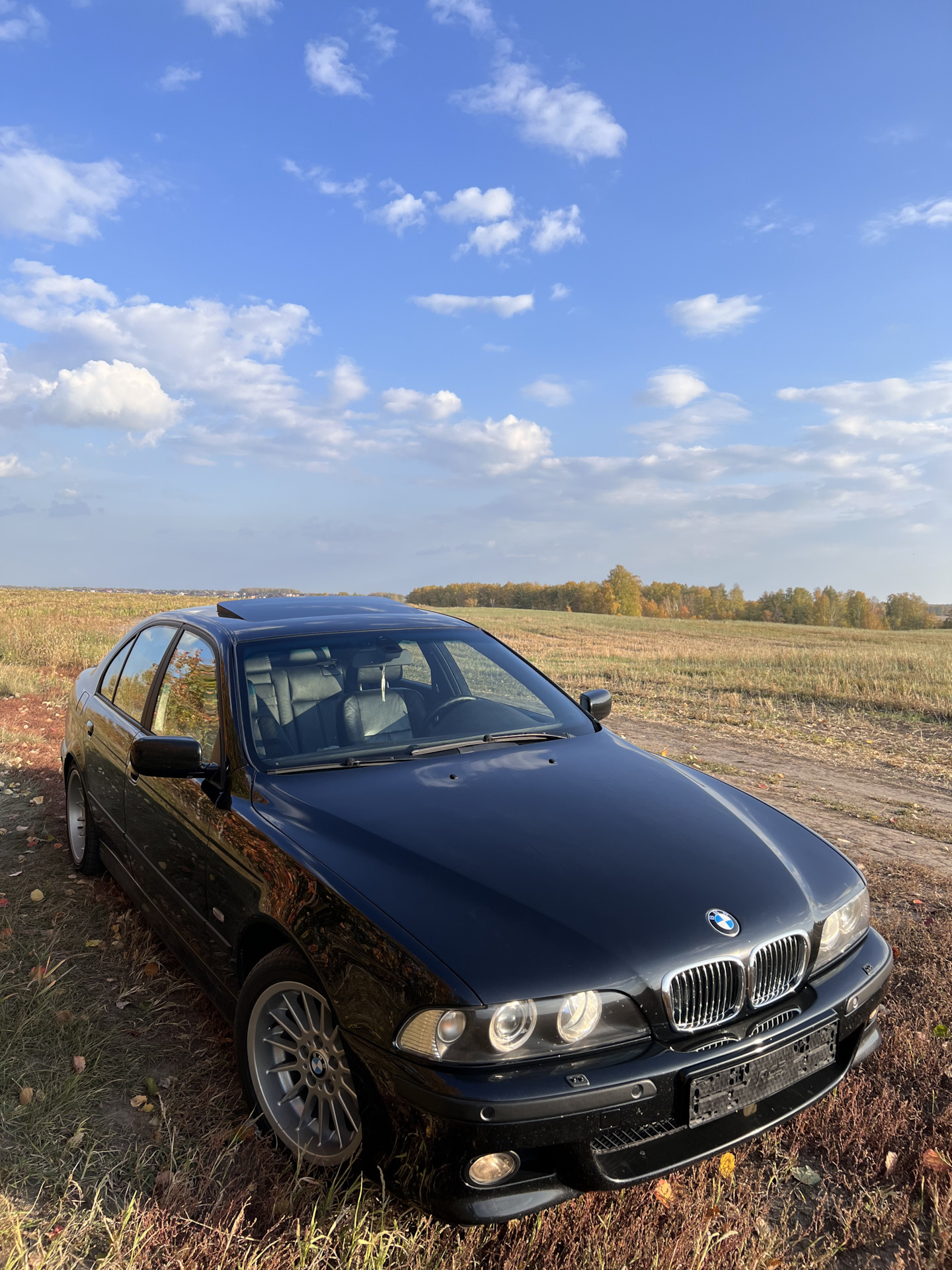 Продажа 540 (временно) — BMW 5 series (E39), 4,4 л, 2001 года | продажа машины | DRIVE2