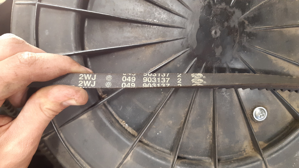 Ремень Гены. — Audi 80 (B3), 1,8 л, 1991 года | своими руками | DRIVE2