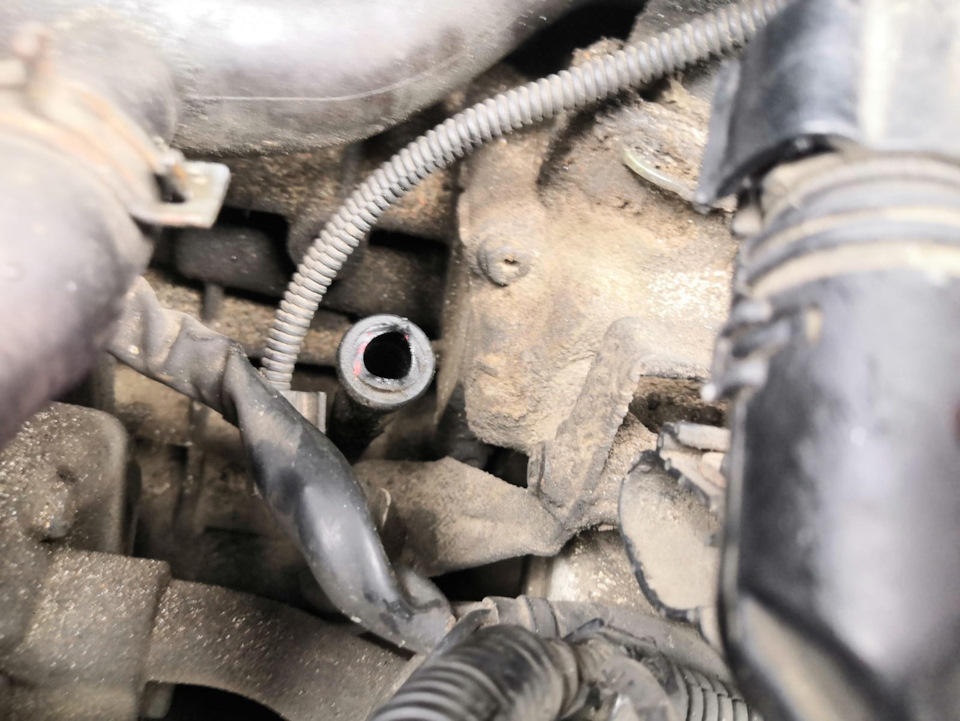 Ремонт трубки масляного щупа BFQ (Skoda Octavia tour) — Skoda Octavia ...