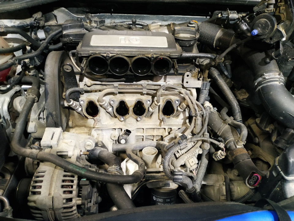 Замена свечей, промывка форсунок — Skoda Octavia A5 Mk2, 1,6 л, 2011 ...