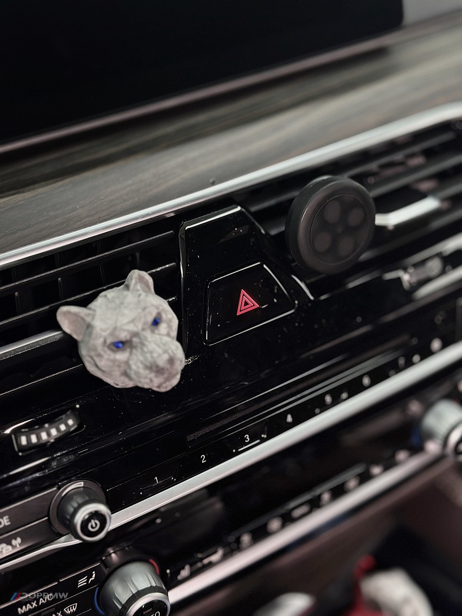 BMW 5 G30 Контроль мертвых зон — DopBMW на DRIVE2