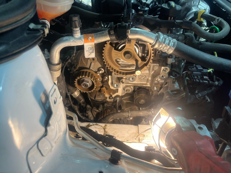 Замена ГРМ, воздушного фильтра + коды запчастей + фото работы — Ford ...