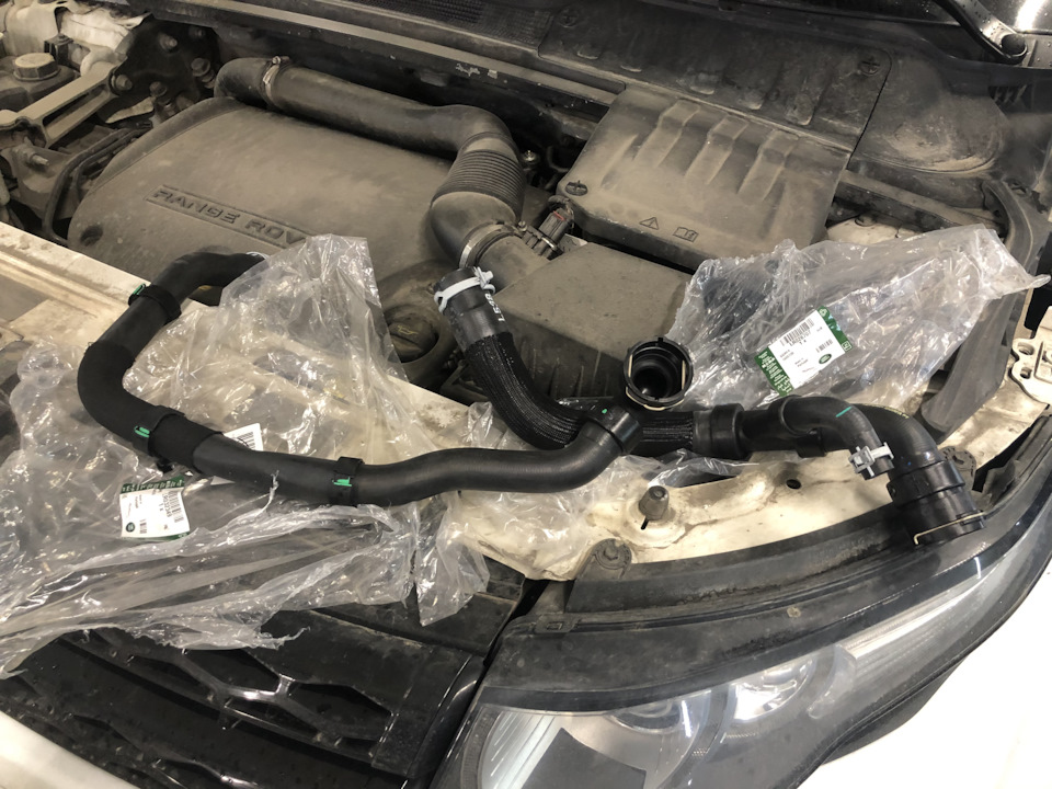 ВоДиЦа — Land Rover Range Rover Evoque (1G), 2,2 л, 2012 года | визит ...