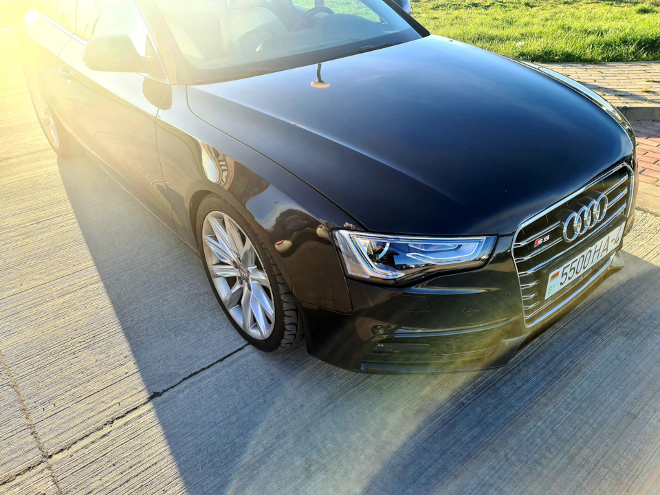 A5B8 на пружинах EIBACH — Audi A5 (1G), 3,2 л, 2007 года | тюнинг | DRIVE2