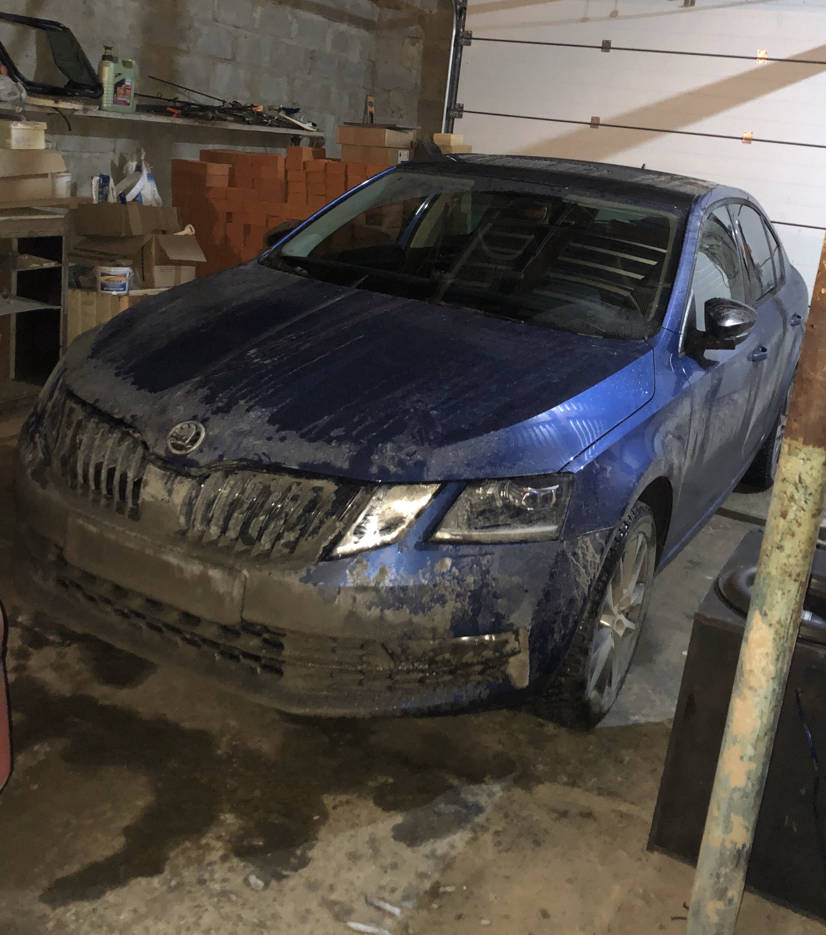 Покупка — Skoda Octavia A7 Mk3, 1,4 л, 2019 года | покупка машины | DRIVE2