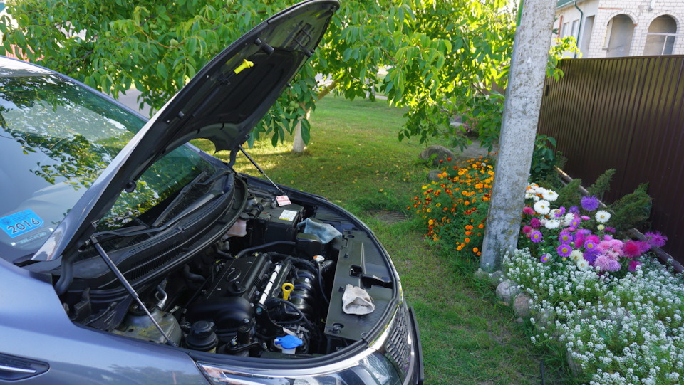 [93] Уплотнитель капота для Rio от Sportage 864553W000 уплотняем в три ...