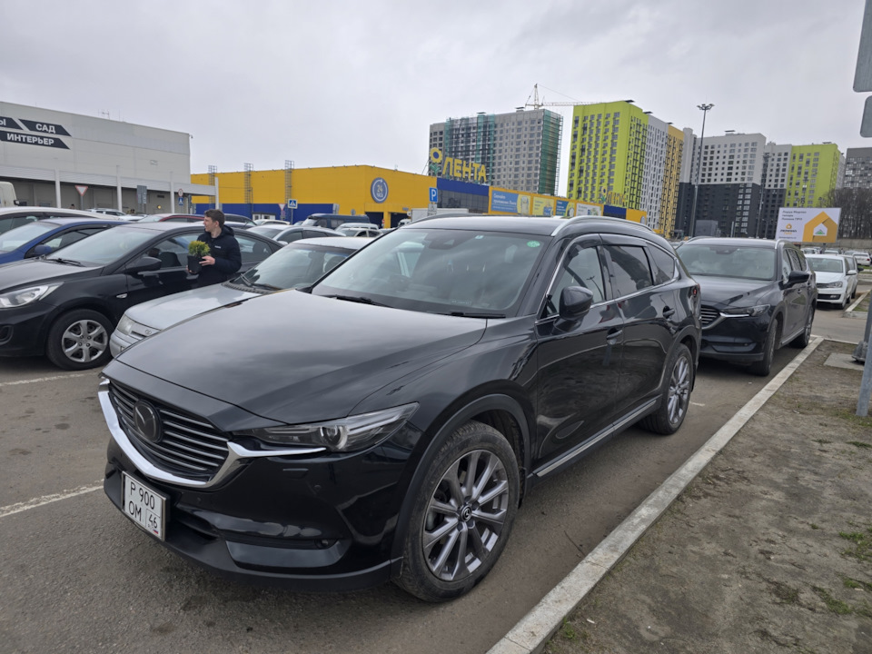 Вот так встреча) — Mazda CX-8, 2,2 л, 2018 года | прикол | DRIVE2