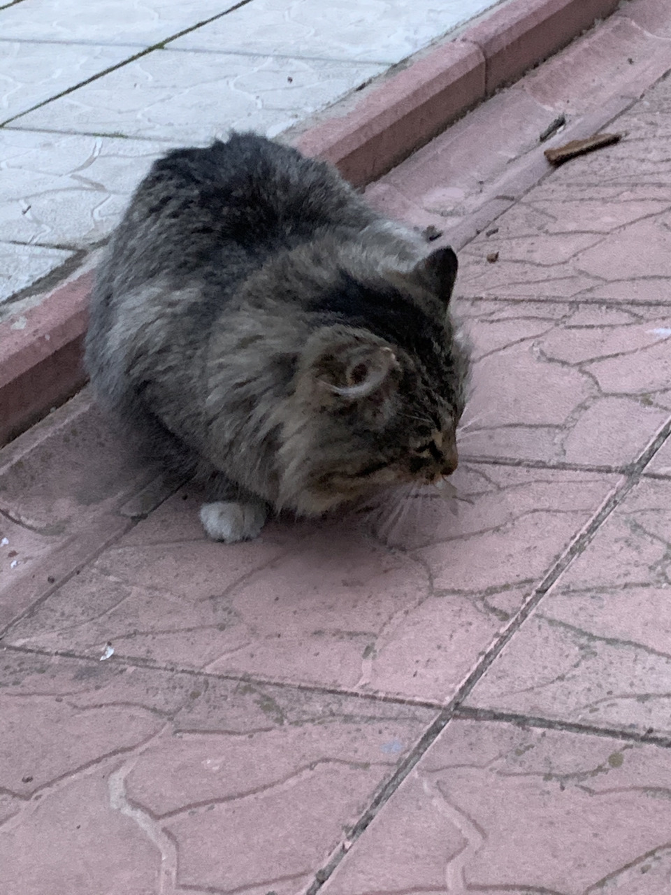 BMW 7 series (F01/02) 3.0 бензиновый 2008 | Fka на DRIVE2