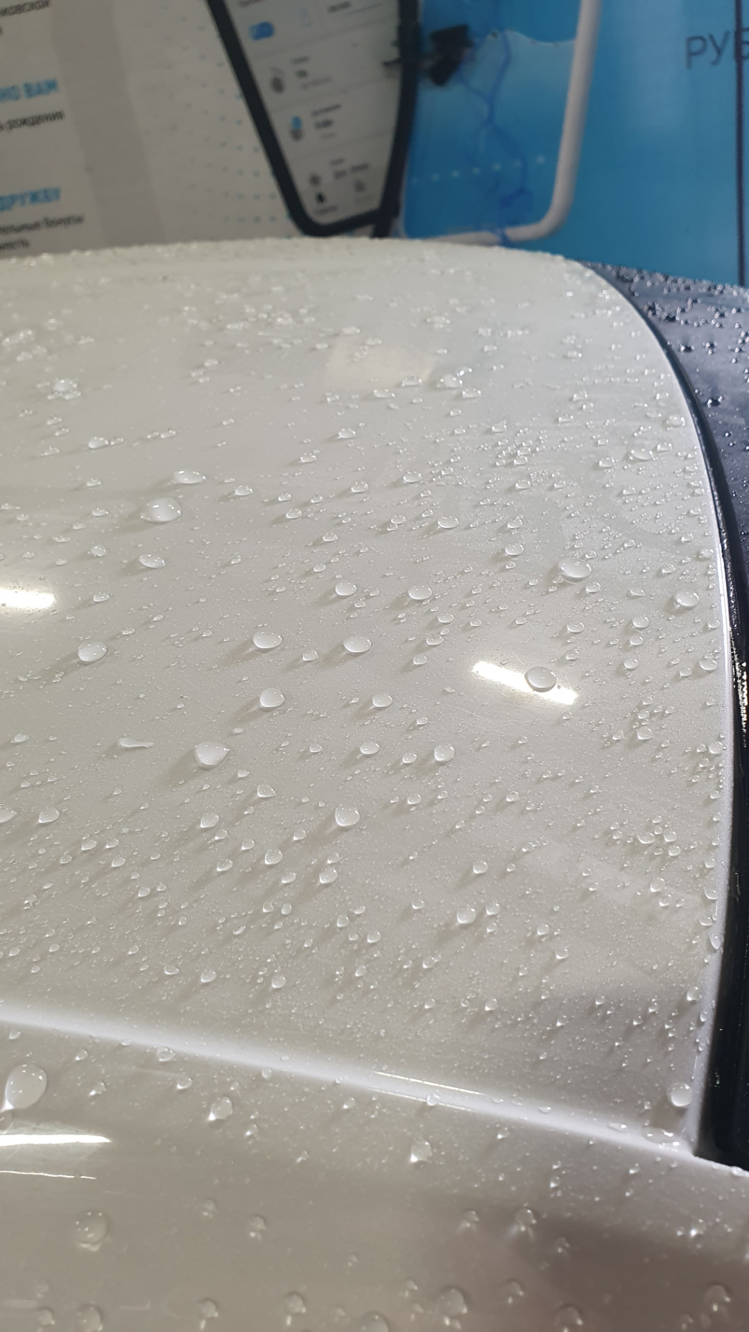 Сушка кузова с квик детейлером Skoda Octavia A7 — Skoda Octavia A7 Mk3 ...