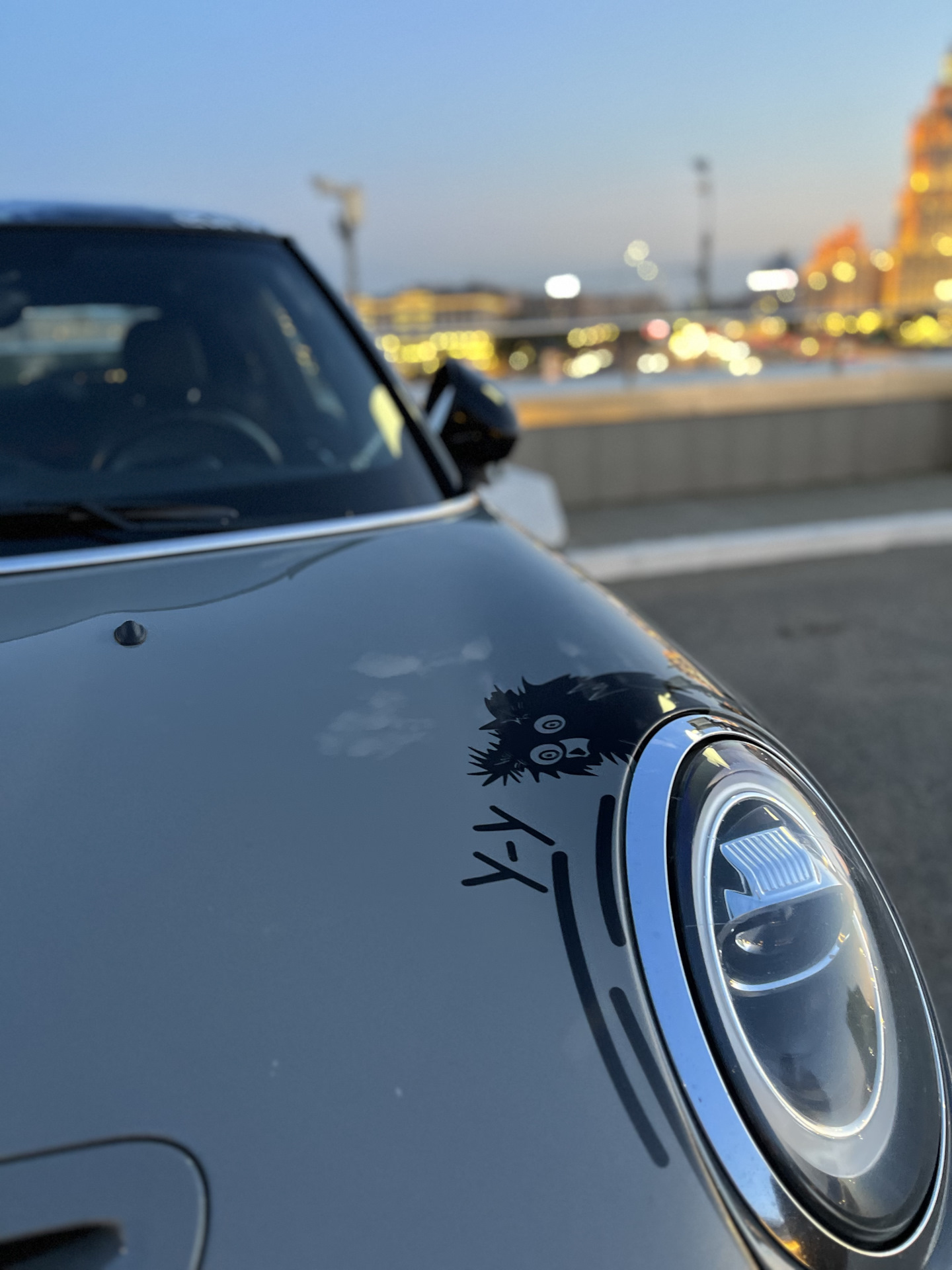 Hedgehog and his friends — MINI John Cooper Works, 2 л, 2019 года ...