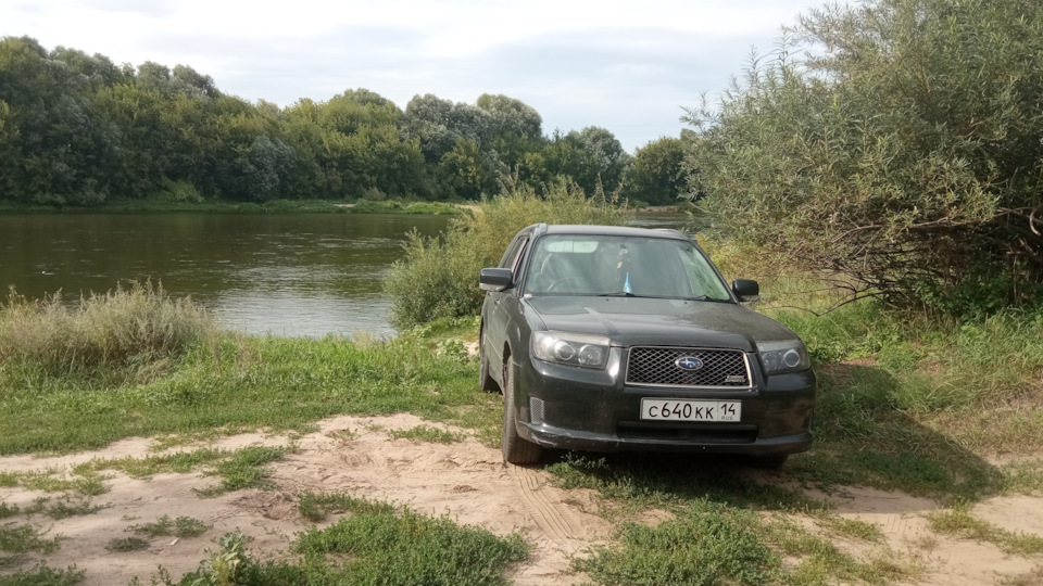 Ещё год прошёл — Subaru Forester (SG), 2 л, 2005 года | наблюдение | DRIVE2