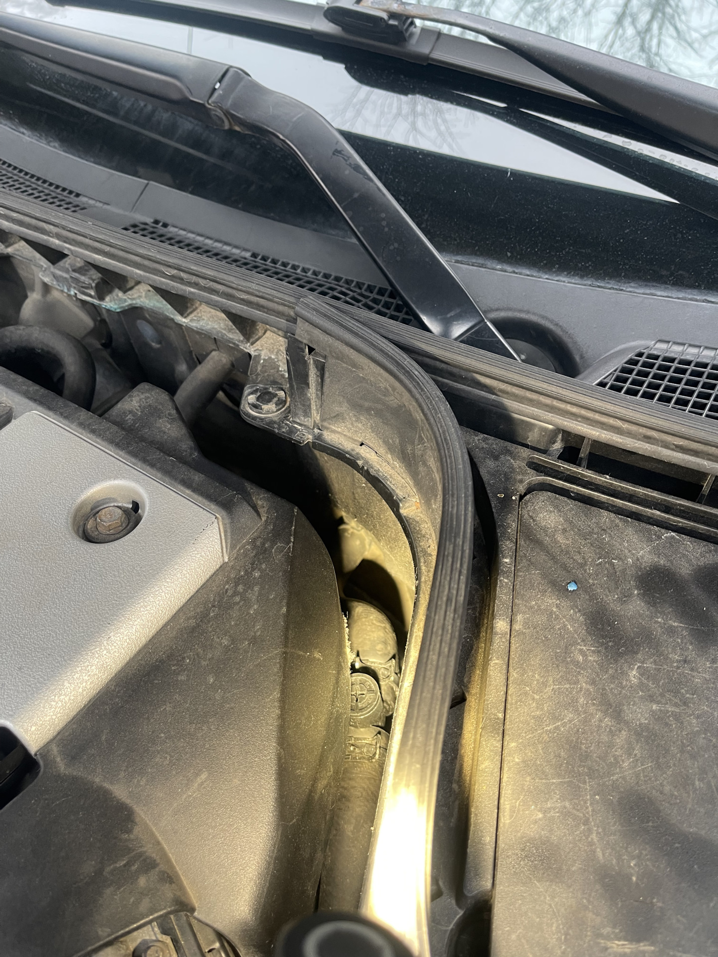 Замена спускника охлаждения — Infiniti G35 Sedan (V36), 3,5 л, 2008 ...