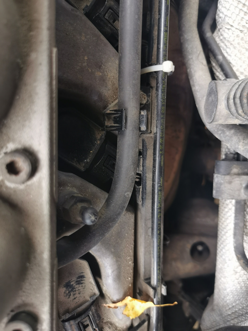 Задние амортизаторы и опоры — Audi A4 (B6), 1,8 л., 2002 года ...