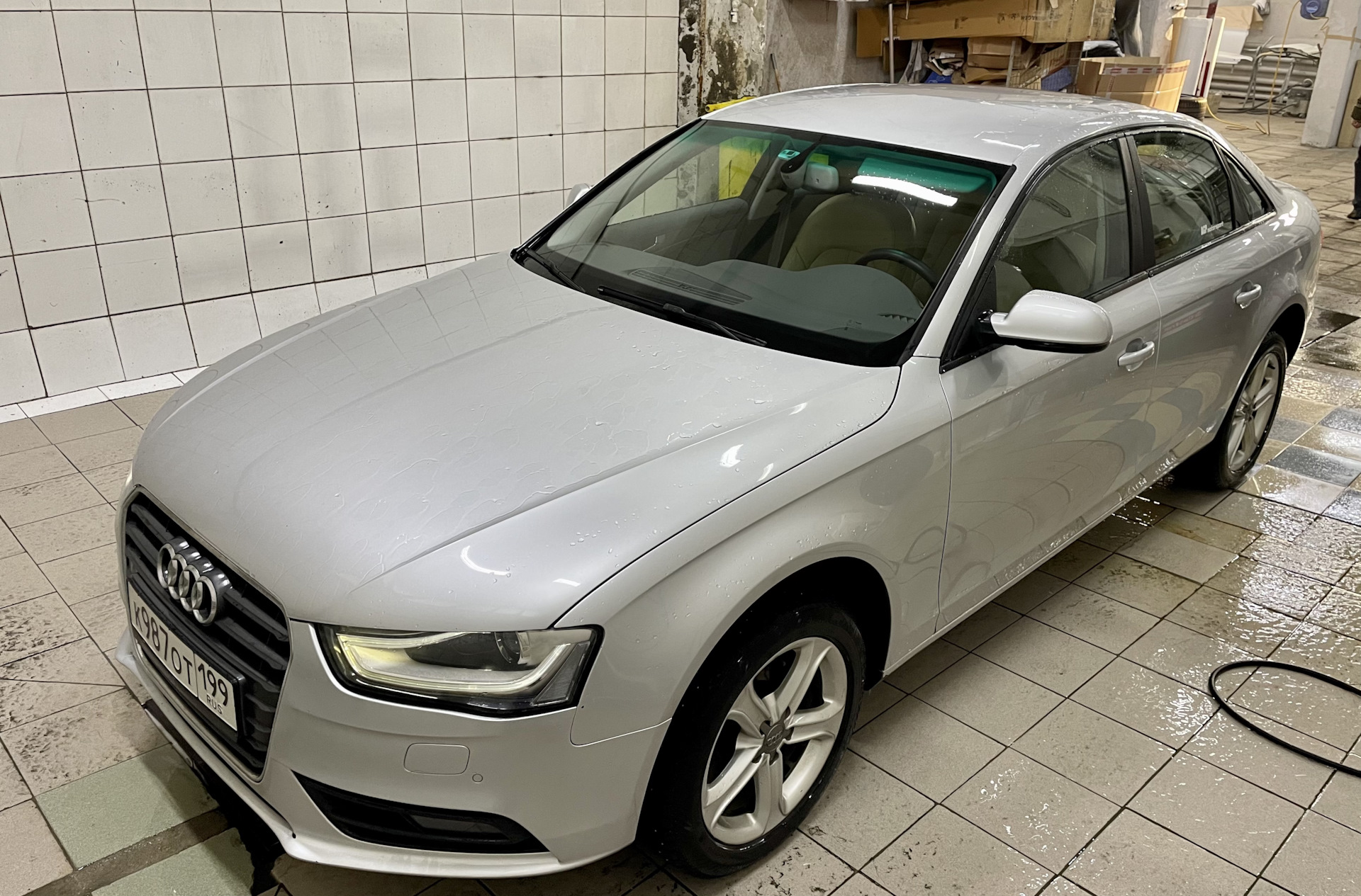 Python Green — Audi A4 (B8), 1,8 л, 2012 года | стайлинг | DRIVE2