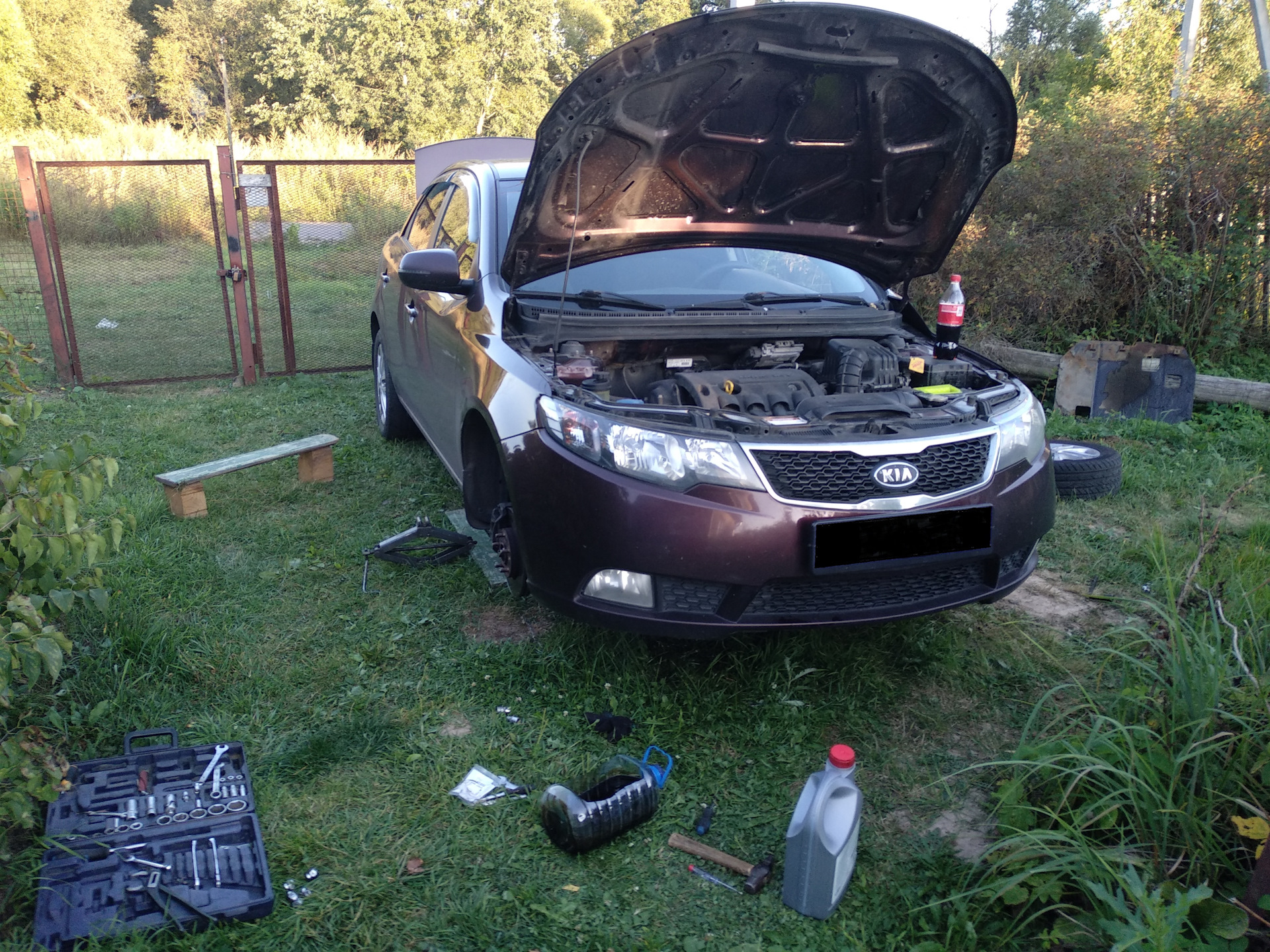 Замена масла в ГУР и ДВС — KIA Cerato (2G), 1,6 л, 2010 года | своими руками | DRIVE2