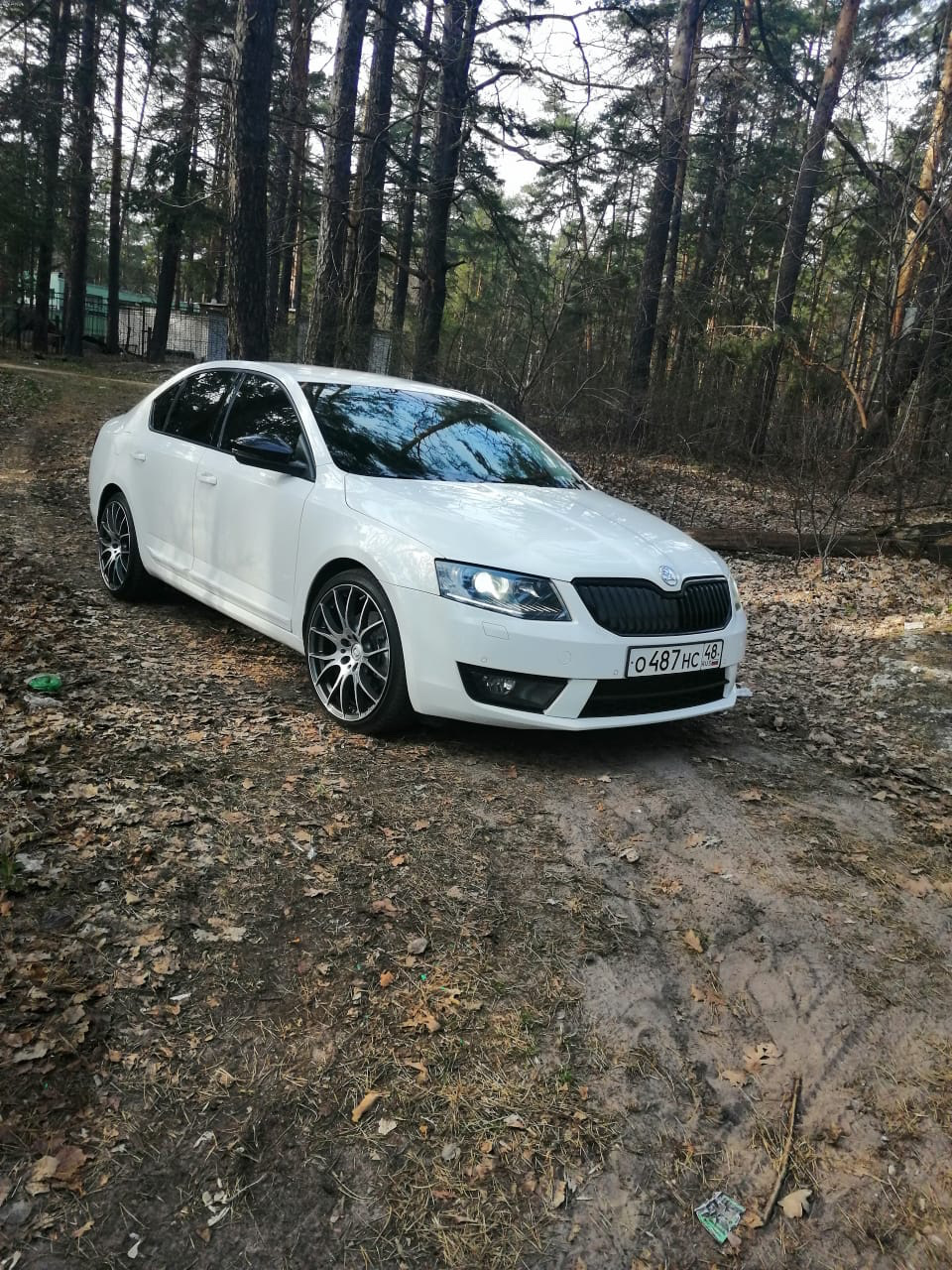Диски Rays Homura 2x7 r19 в продажу — Skoda Octavia A7 Mk3, 1,8 л, 2013 года | колёсные диски ...