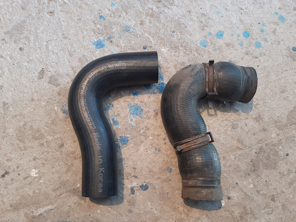 96536532 Шланг радиатора верхний / Chevrolet Aveo 1.4 03~ GM | Запчасти ...