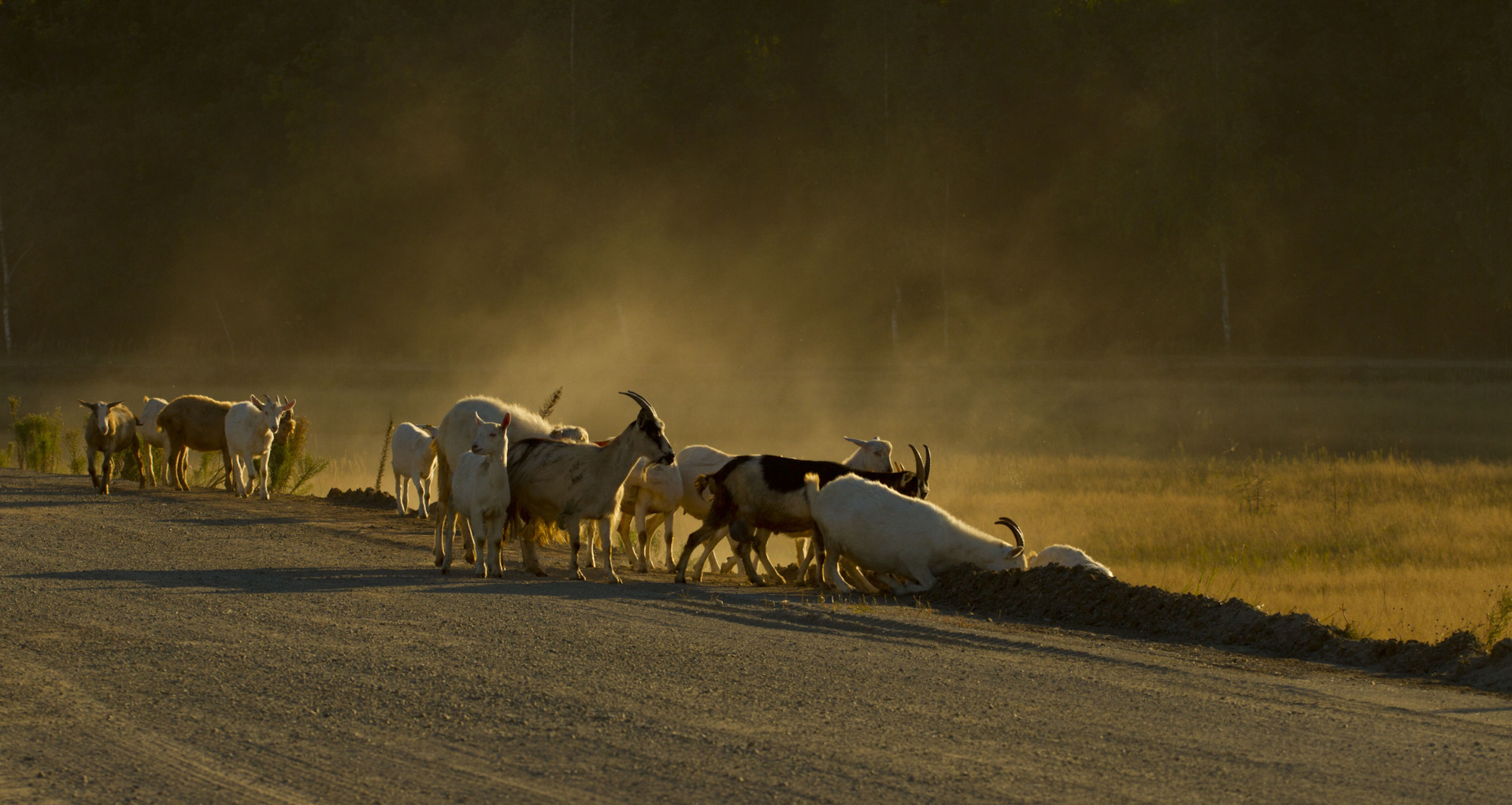 Запись, 19 марта 2022 — DRIVE2