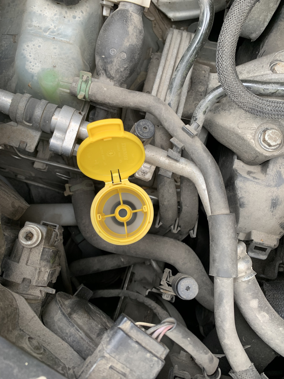 289130999R Крышка бачка стеклоомыв RENAULT | Запчасти на DRIVE2