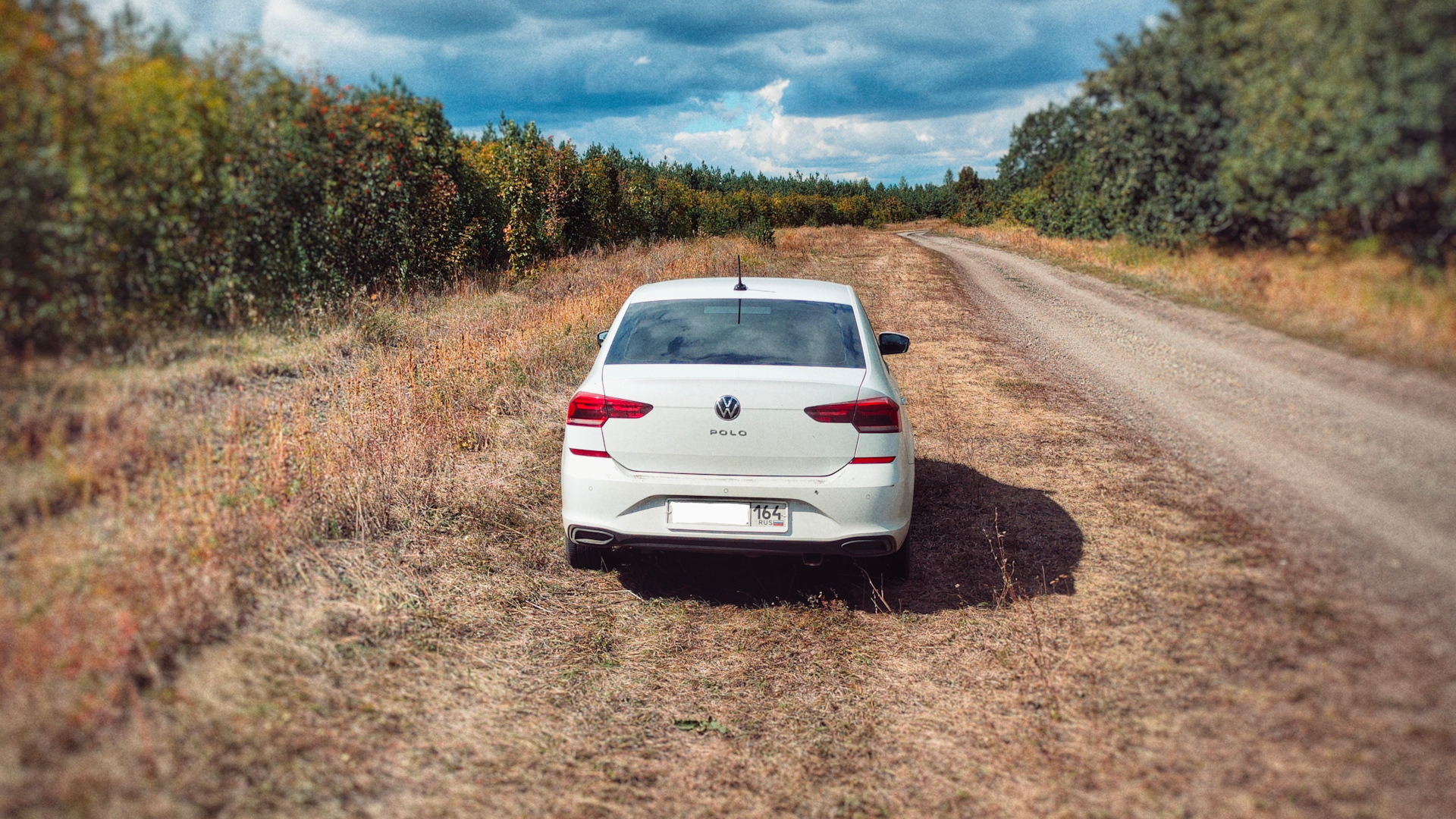 Volkswagen Polo liftback 1.6 бензиновый 2020 | на DRIVE2