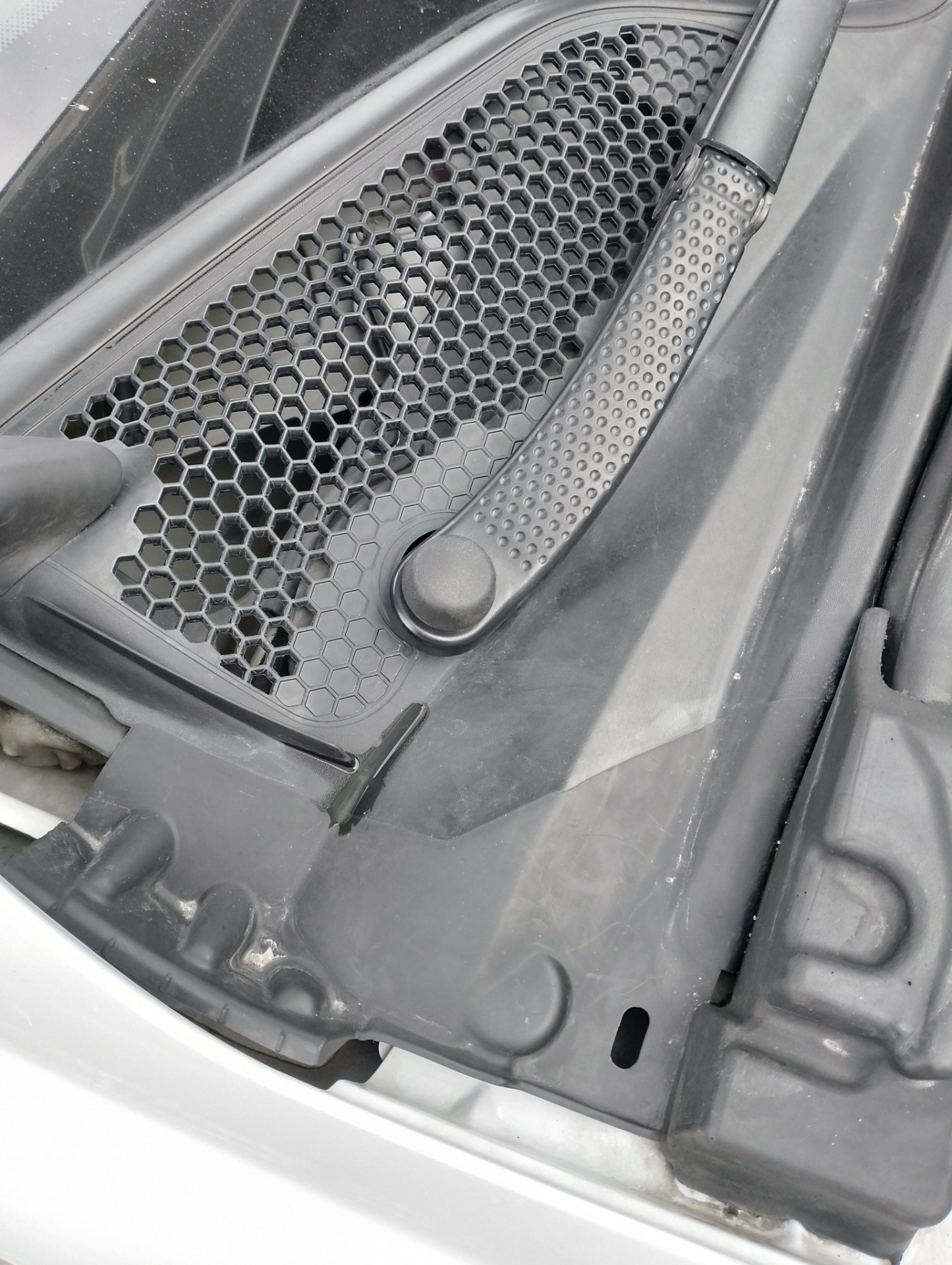 Первые траты — Citroen C4 L, 1,6 л, 2019 года | аксессуары | DRIVE2