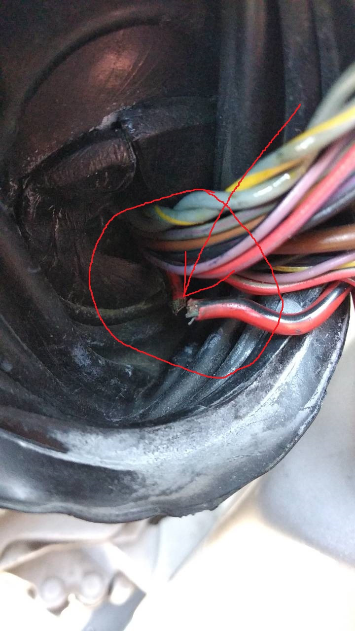 Не работает задний левый стеклоподъемник — часть №1 — Audi A6 Avant (C5 ...