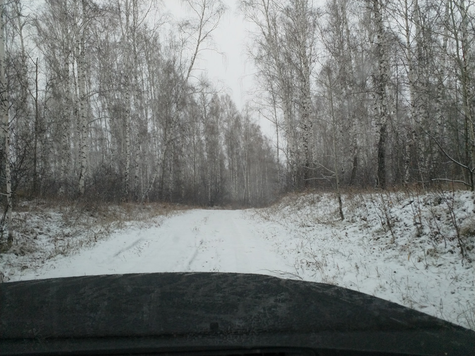 Bilshtein b6 + eibach -35 — SEAT Leon FR (Mk3), 1,8 л, 2013 года | запчасти | DRIVE2