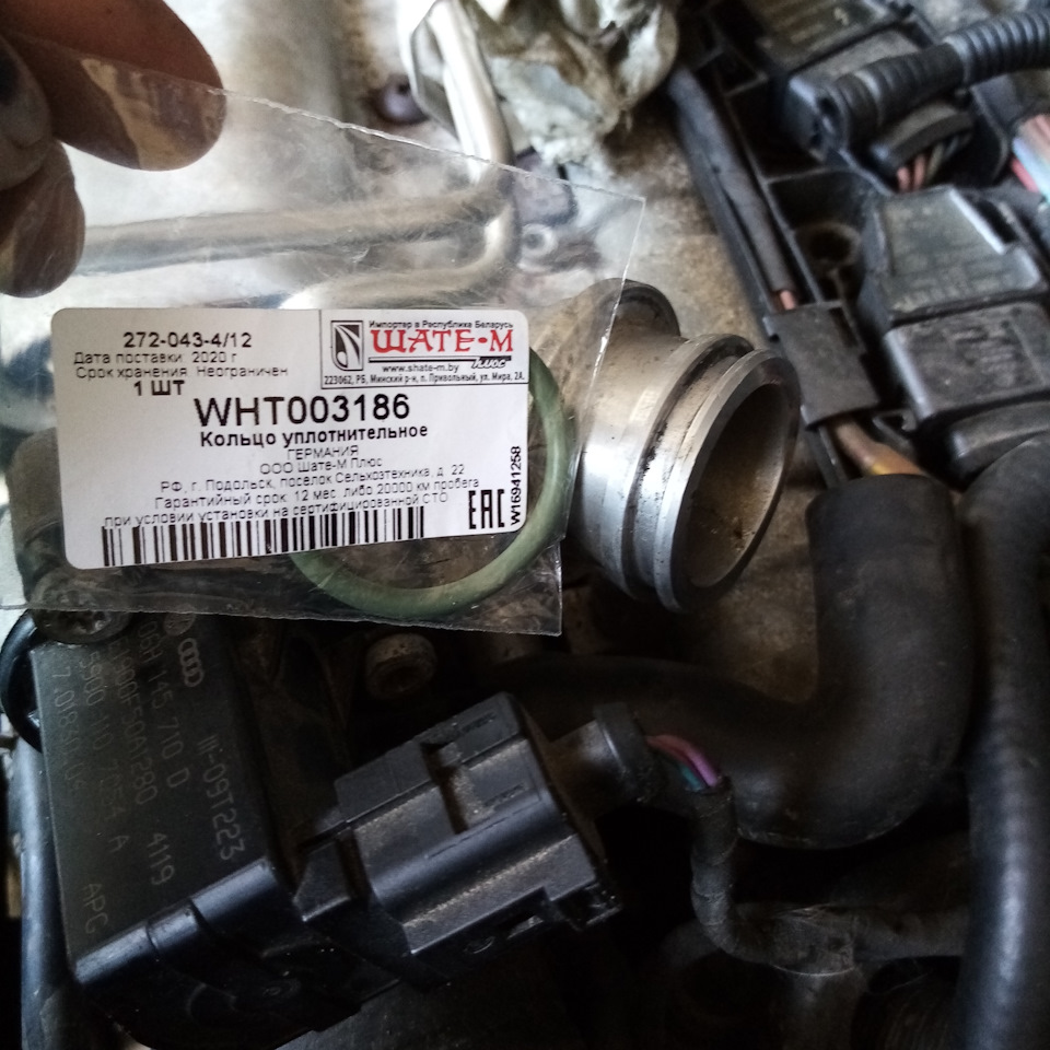 WHT003186 УПЛОТНИТЕЛЬНОЕ КОЛЬЦО/ VAG | Запчасти на DRIVE2