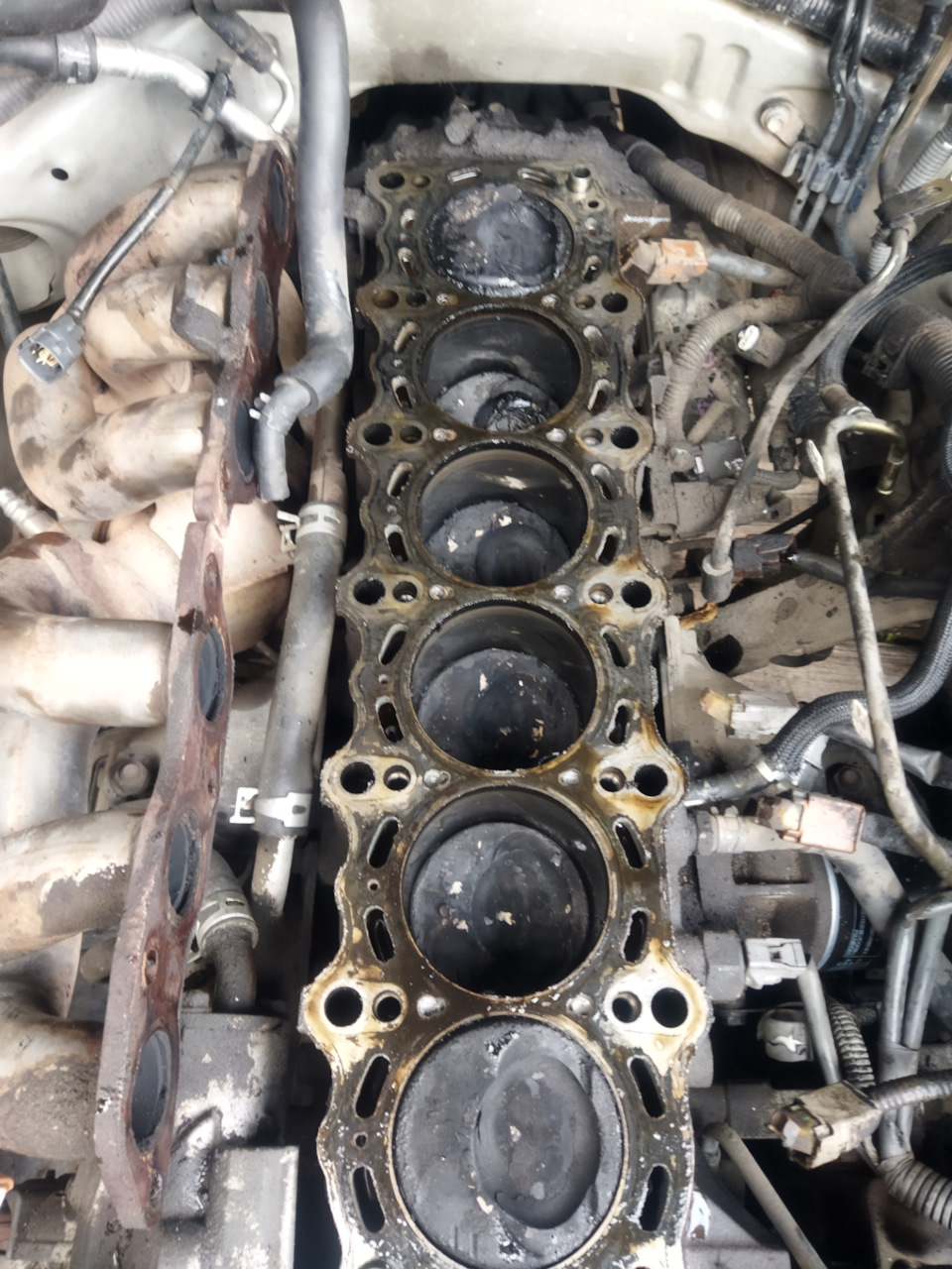 Капитальный ремонт 1jz-fse "ГБЦ" — Toyota Mark II Blit, 2,5 л, 2002 года | плановое ТО | DRIVE2